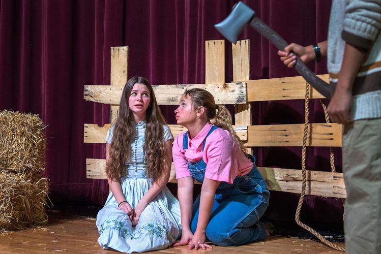 BHS stages 'Charlotte's Web' | Schools | buffalobulletin.com