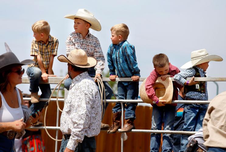 Photo Gallery: Johnson County Rodeo | Sports | buffalobulletin.com