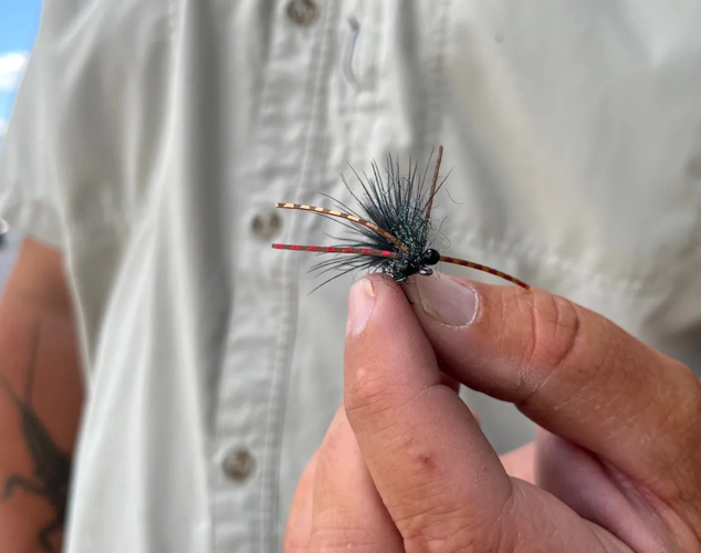 The art of the fly: Angler relishes the meditation and creation of ...