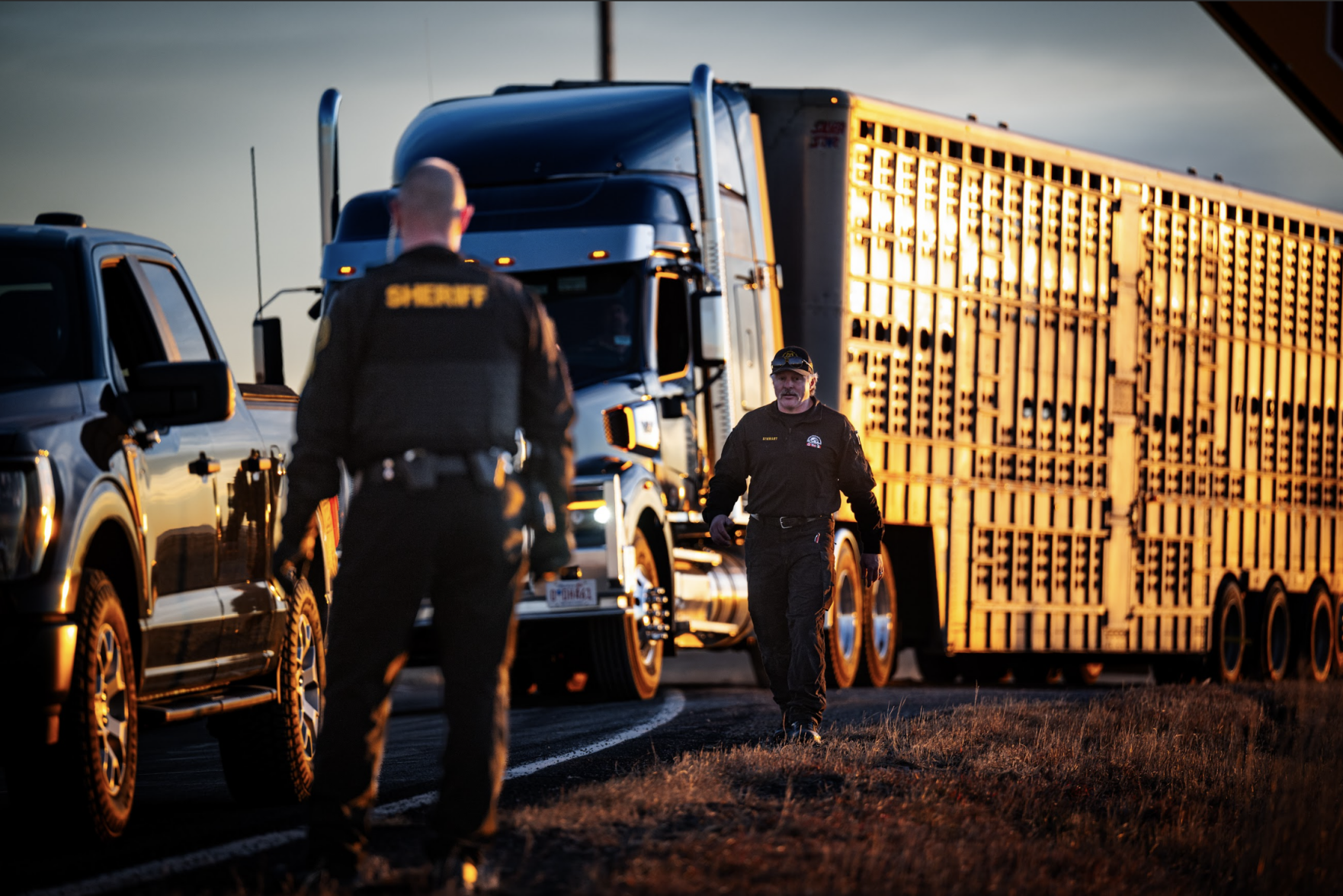 Operation targets ‘unqualified, unsafe and undocumented’ drivers | News ...