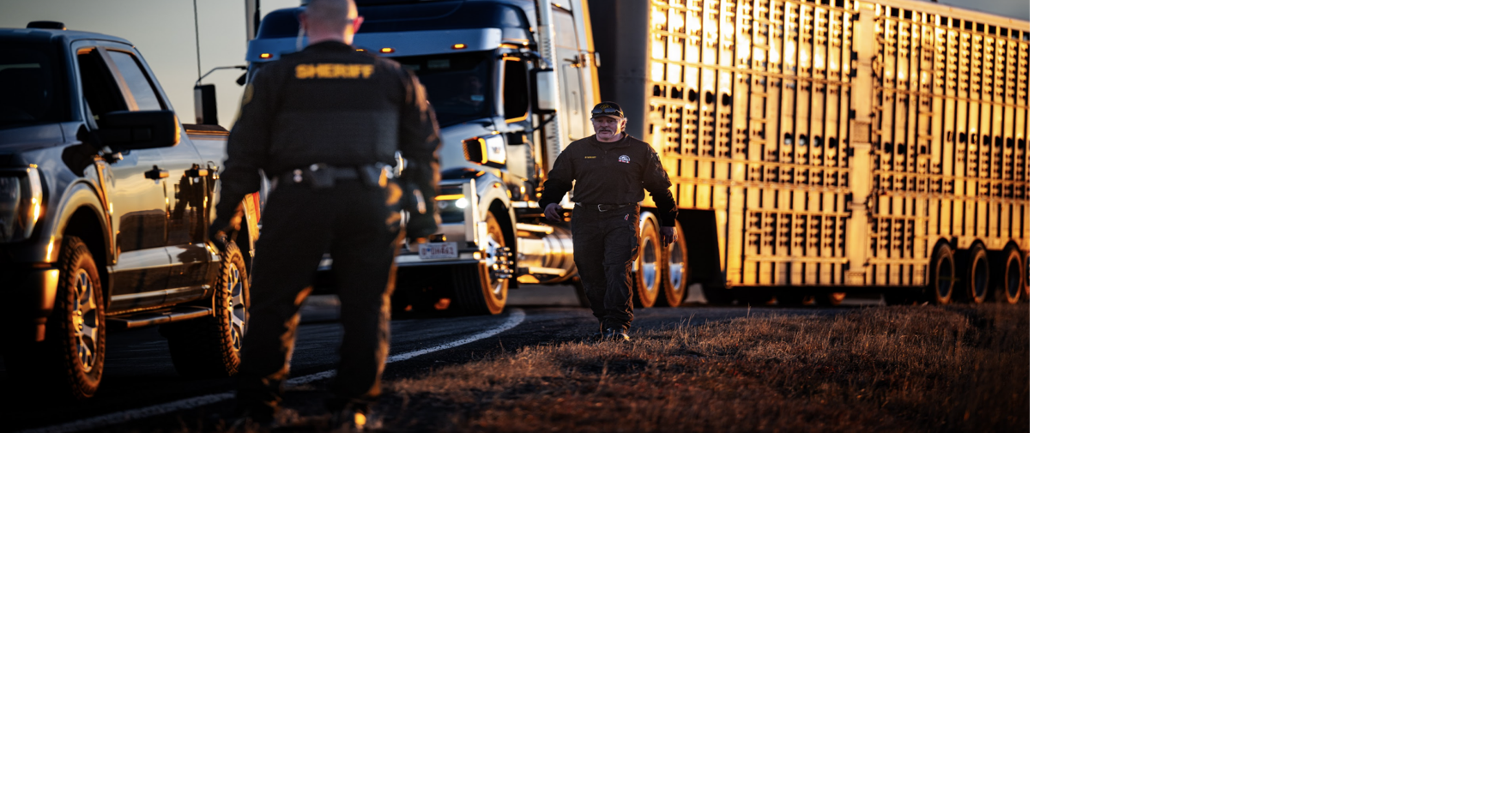 Operation targets ‘unqualified, unsafe and undocumented’ drivers | News ...