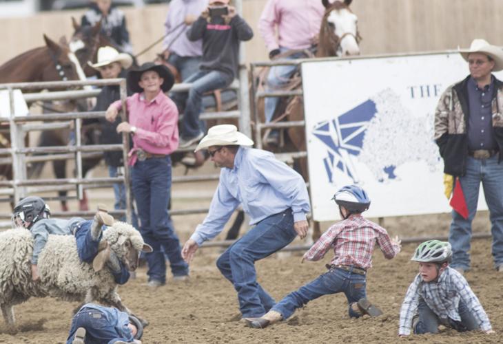 Numbers up for youth rodeo | Sports | buffalobulletin.com