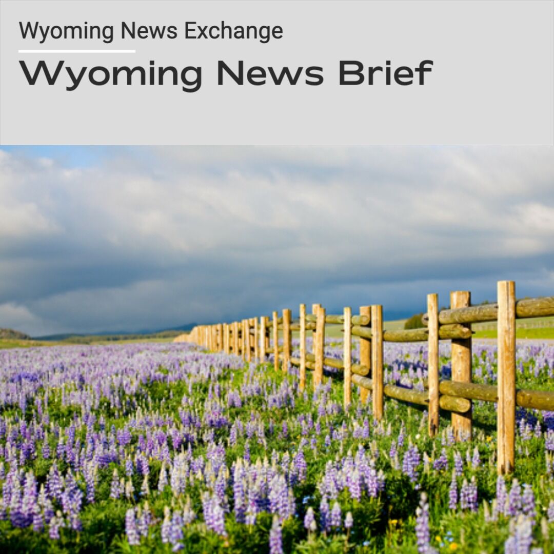 Wyoming abruptly loses eight local newspapers | News | buffalobulletin.com