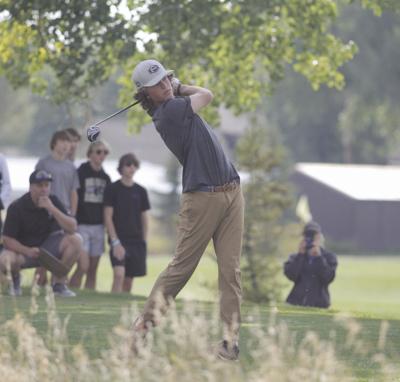 Rickett finishes third at state | Sports | buffalobulletin.com