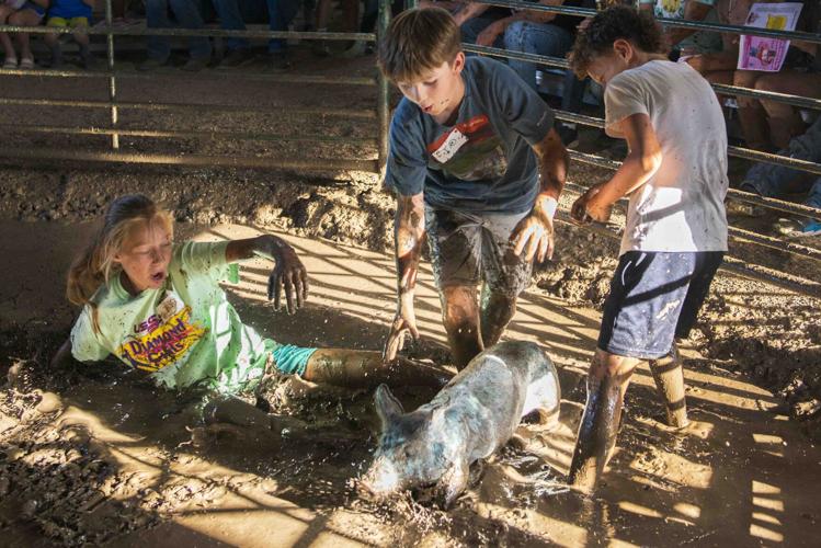 Photo Gallery: Pig Wrestling Championship | News | buffalobulletin.com