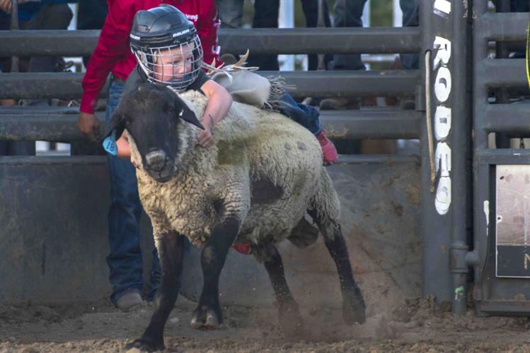 Photo Gallery: Range War Rodeo | Sports | buffalobulletin.com