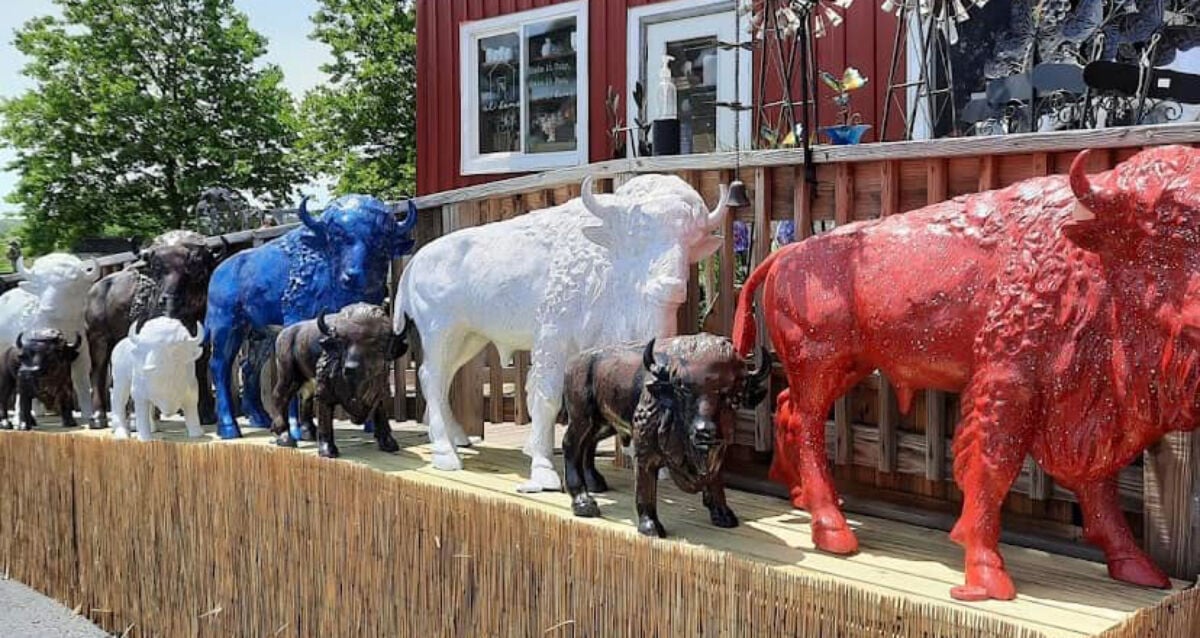 Come celebrate the 2025 Best of WNY! | Party | buffalospree.com