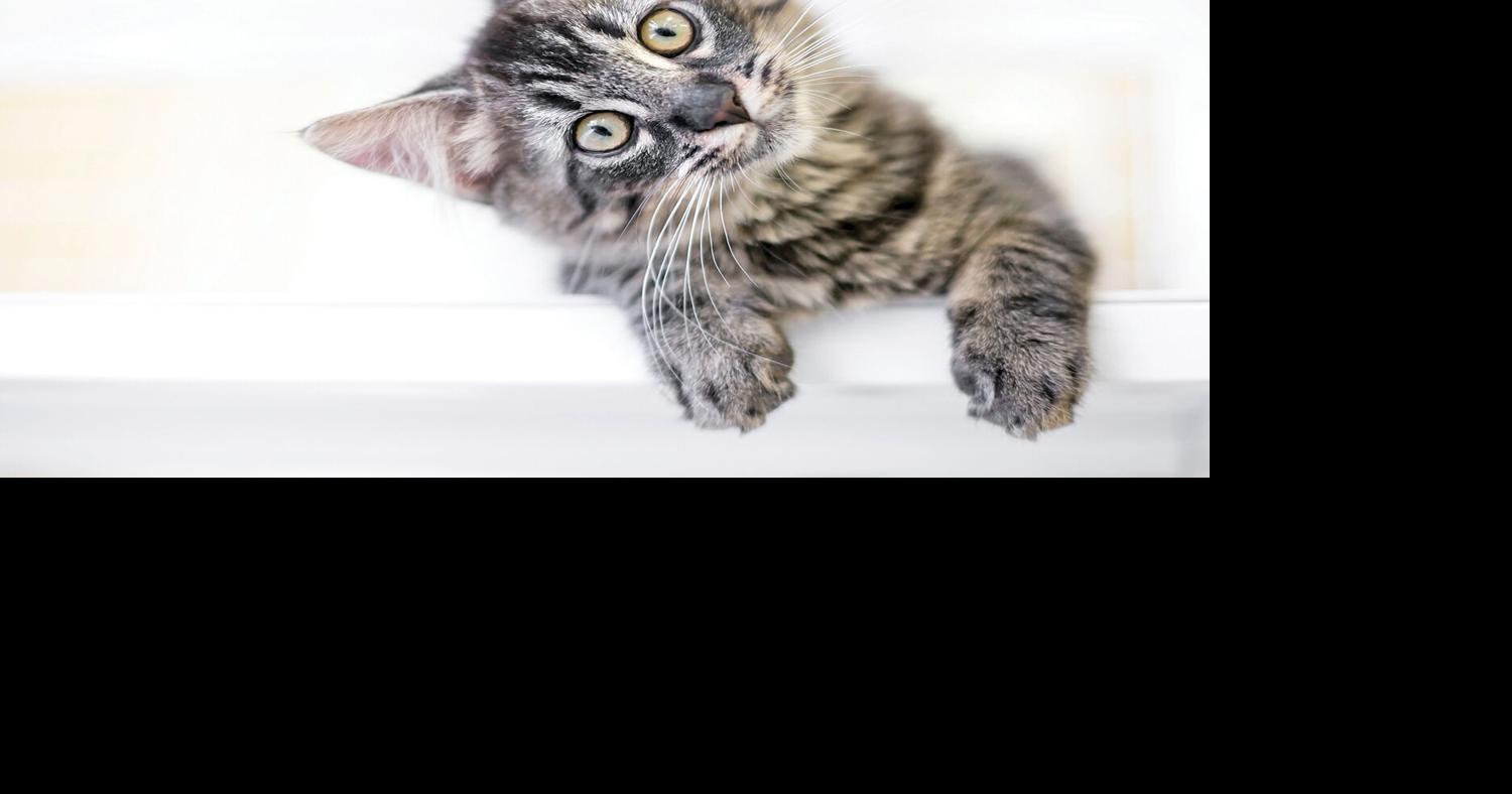 Keep curiosity alive | Features | buffalospree.com