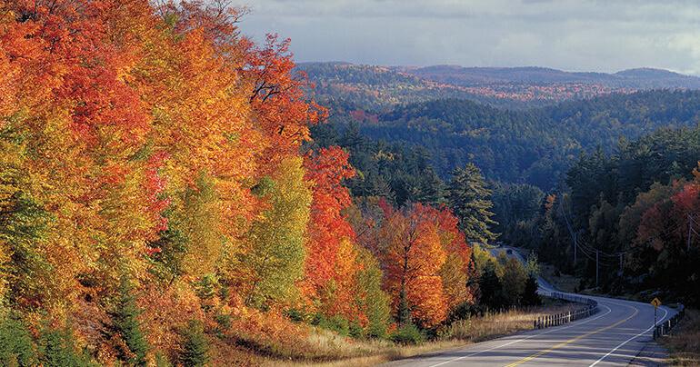 Fall Foliage | Our Magazines | buffalospree.com