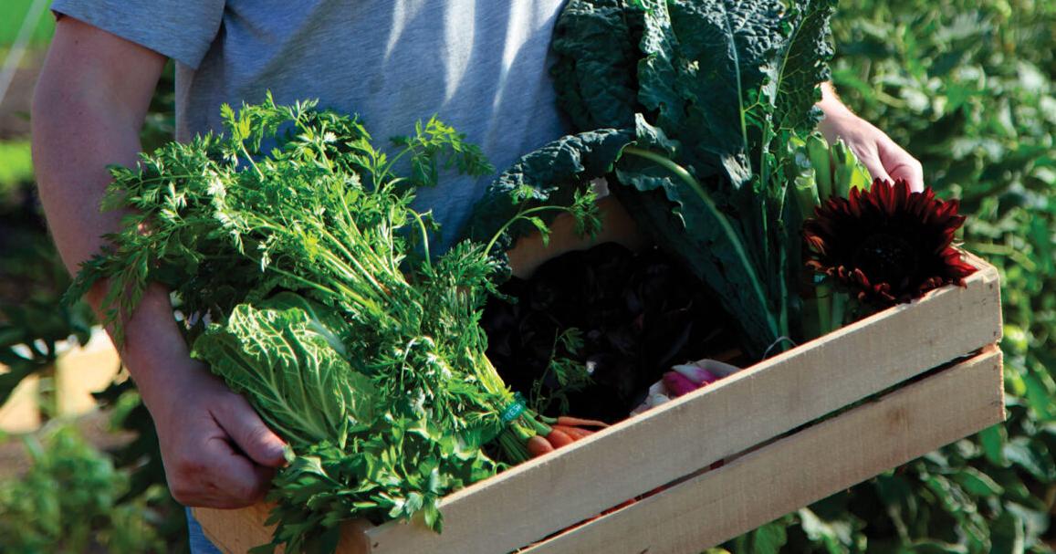 Promoting Hyperlocal Eating | Food + Drink News | buffalospree.com