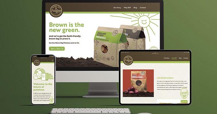 Swim Creative receives awards for outstanding digital work | The Daily ...