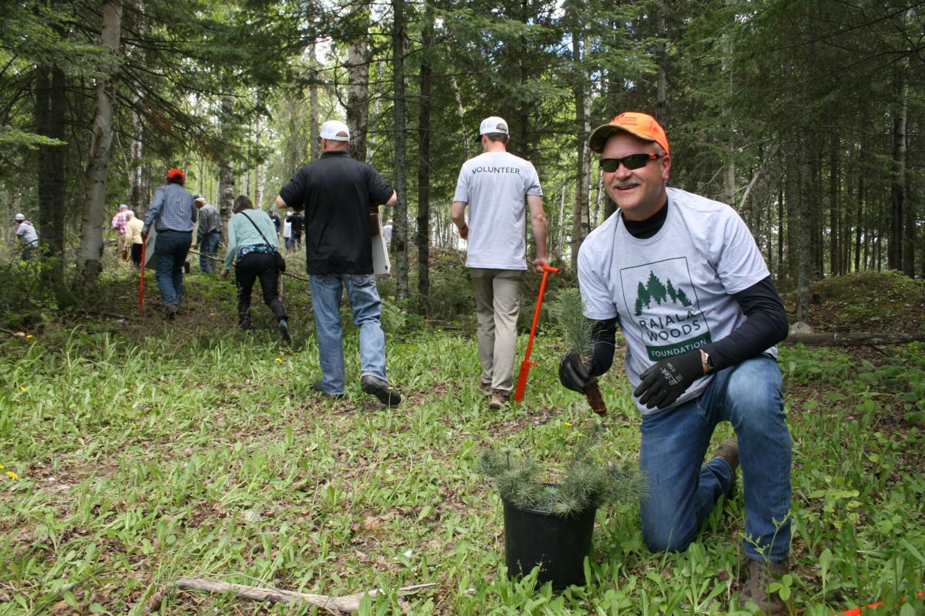 Hodnik Family Forest comes to life | The Daily Briefing | businessnorth.com