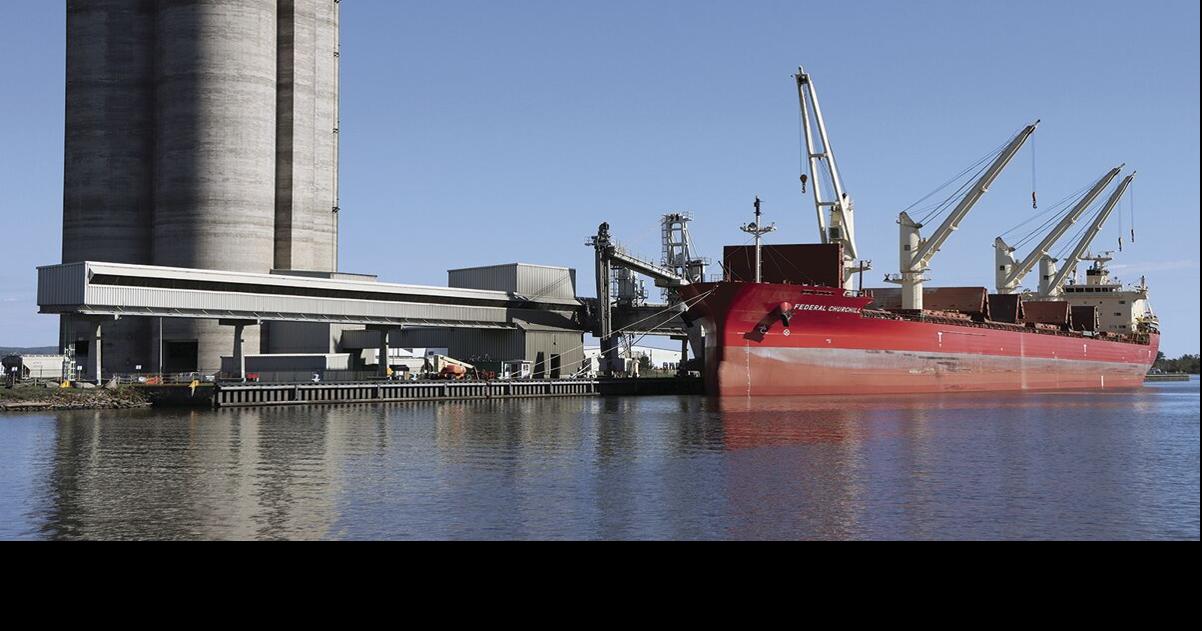 Iron ore leads port's 2021 tonnage upsurge | Around the Region ...
