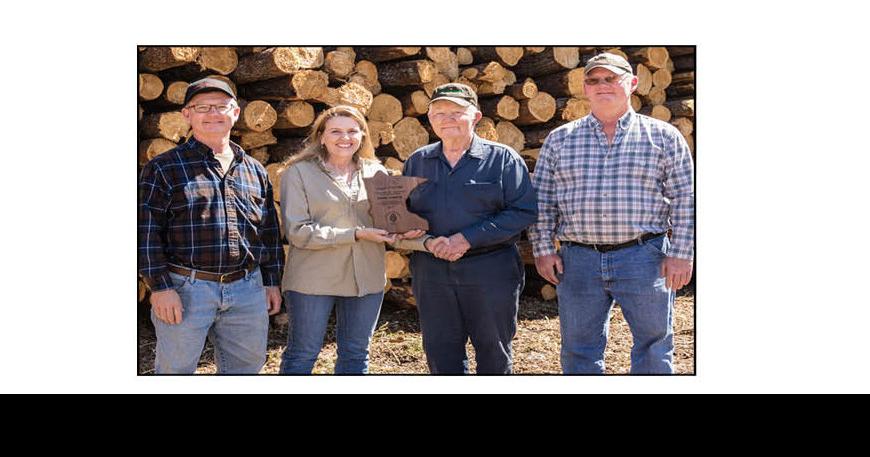 Dobbs Logging named Minnesota Logger of the Year | Newsmakers ...