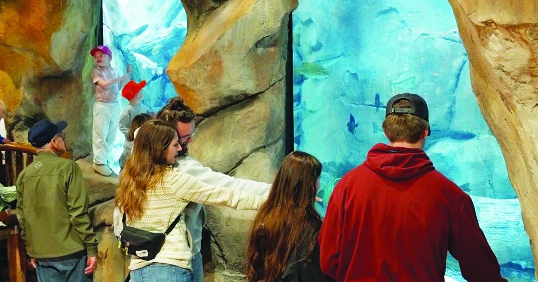 Customer line up for Bass Pro's grand opening | Around the Region ...