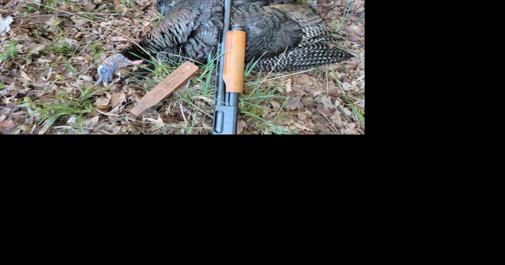 Trying (and failing) to hunt turkeys as the Pilgrims did | Sports ...