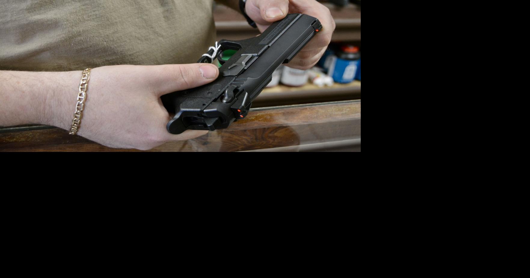 What you need to know about Michigan's new gun laws | News ...