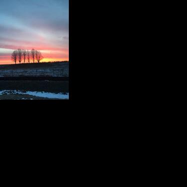 Boon farm | Local News | cadillacnews.com