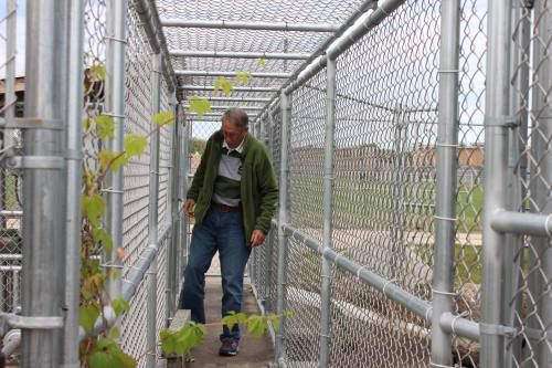 Clam River dam opened for winter | News | cadillacnews.com