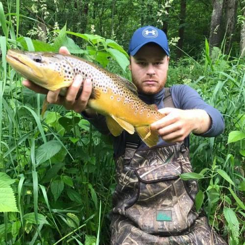 Horizon hosts a Saturday book signing event for local authors | Local ...