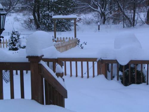 Record snow for 2008-09 | Local News | cadillacnews.com