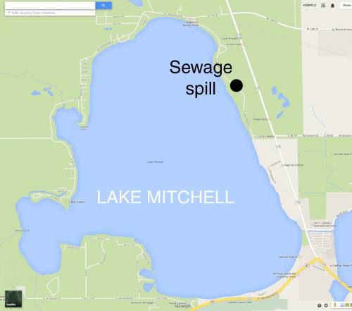 Thousands of gallons of sewage released into wetland near Lake Mitchell ...