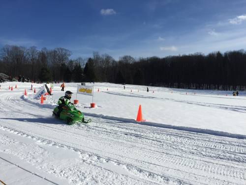Chasing the Coyote Cup | Local News | cadillacnews.com