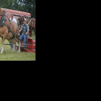 Geers Farm Hosts 5th Annual Family Day Benefit | Local News ...