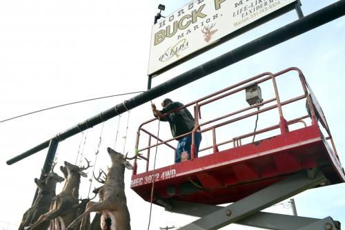 Deer hunt harvest on display at buck poles | Local News | cadillacnews.com