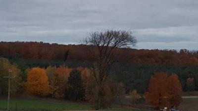 A fall day at Fenner Farms | Local News | cadillacnews.com