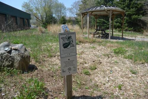 Missaukee Nature Trail: Hidden wonder in Missaukee County | News ...