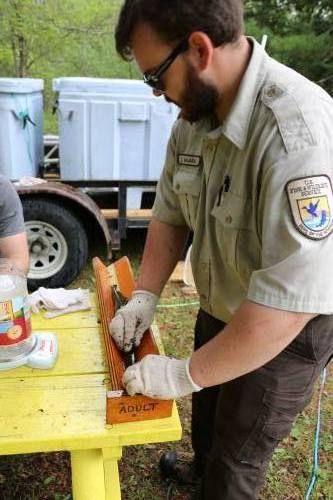 Experiment on area rivers aims to develop new sea lamprey control ...