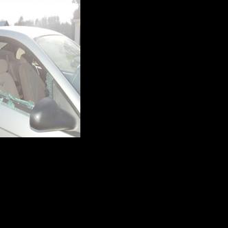 Police investigate Manton vandalism spree | Local News | cadillacnews.com