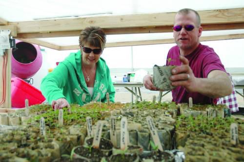 Manton family grows a dream | Local News | cadillacnews.com