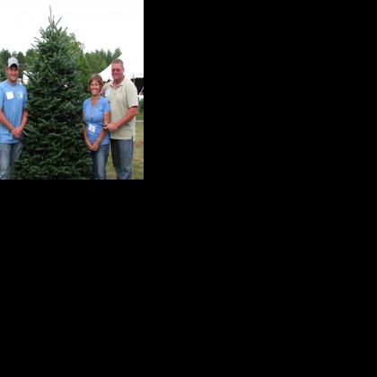 Manton Christmas tree to be displayed in governor’s residence | Local ...