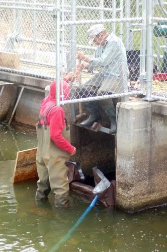 Work continues on Clam River Dam | Local News | cadillacnews.com
