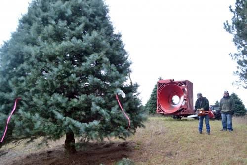 Dutchman Tree Farm shipping tree to Ford Field | Local News ...