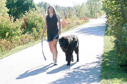 Public asked for input on trail-system investments | Local News ... Public asked for input on trail-system investments | Local News ...