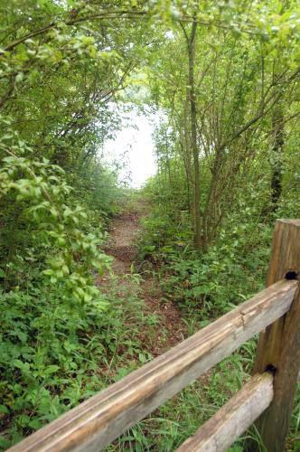 Erosion, campground proposal worry fans of Tunk Hole | Local News ...