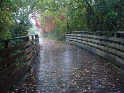 Clam River pics | Local News | cadillacnews.com