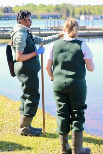 High E. coli levels prompt 'no body contact' advisory at city dock ...
