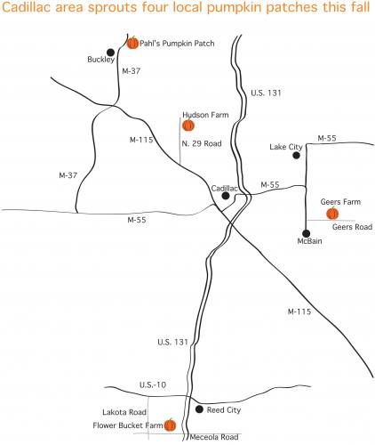 Cadillac area boasts four pumpkin patches this fall | Local News ...
