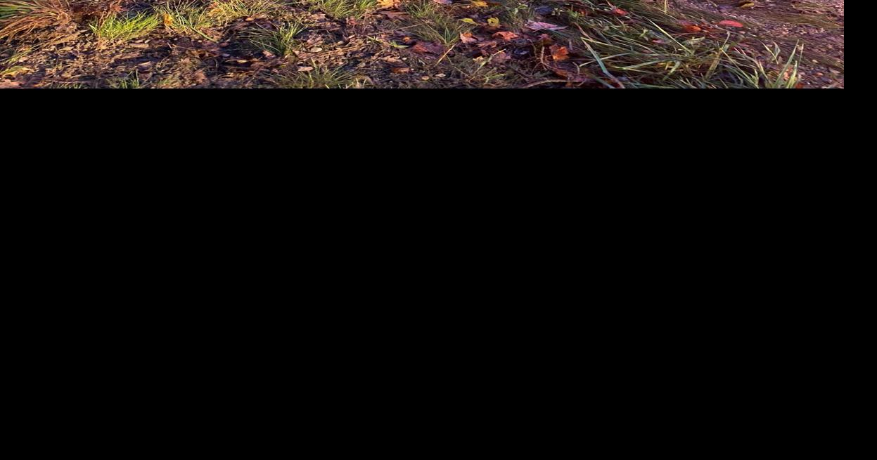 MSP investigate two-vehicle crash in Grand Traverse Co ...