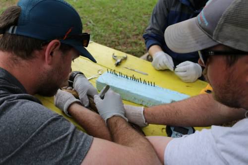 Experiment on area rivers aims to develop new sea lamprey control ...