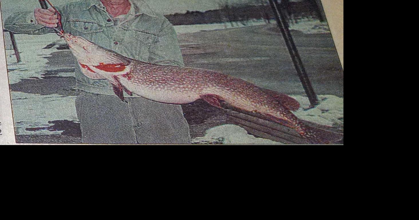 Today in history: Monster pike gaffed from Lake Cadillac | News ...