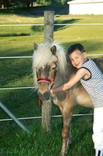 Reward being offered in pony death | Local News | cadillacnews.com