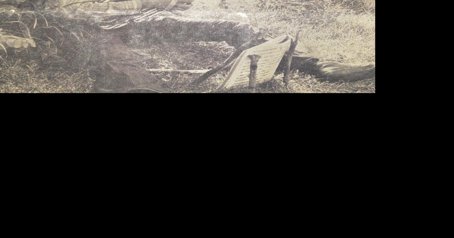 Today in history: DNR notes pike fry loss at marsh | News ...