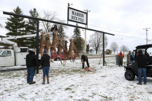 Buck poles in Marion, Manton embrace the start of firearm deer season ...