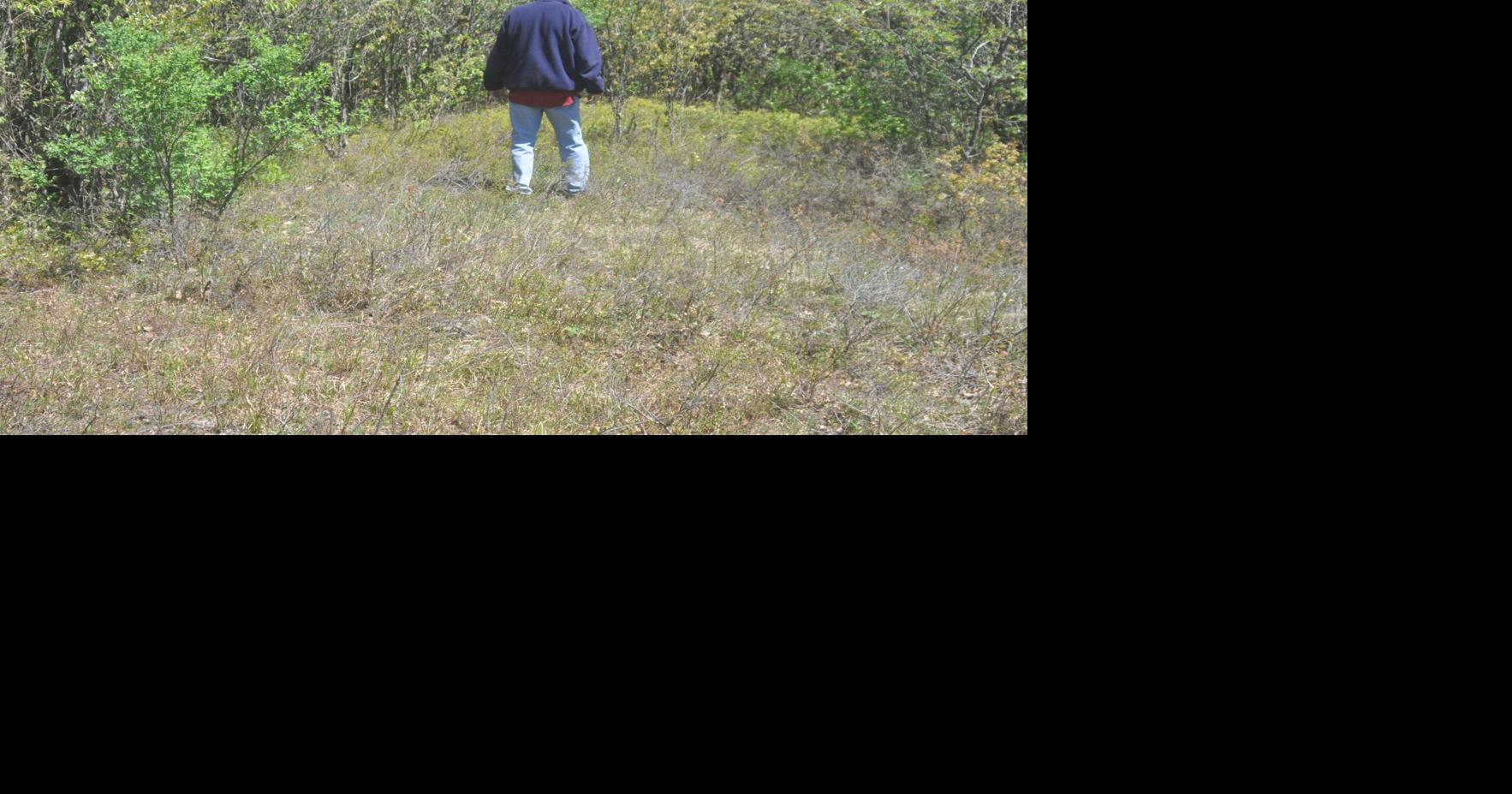 Old Shay locomotive railroad grade found on Veterans Serving Veterans ...