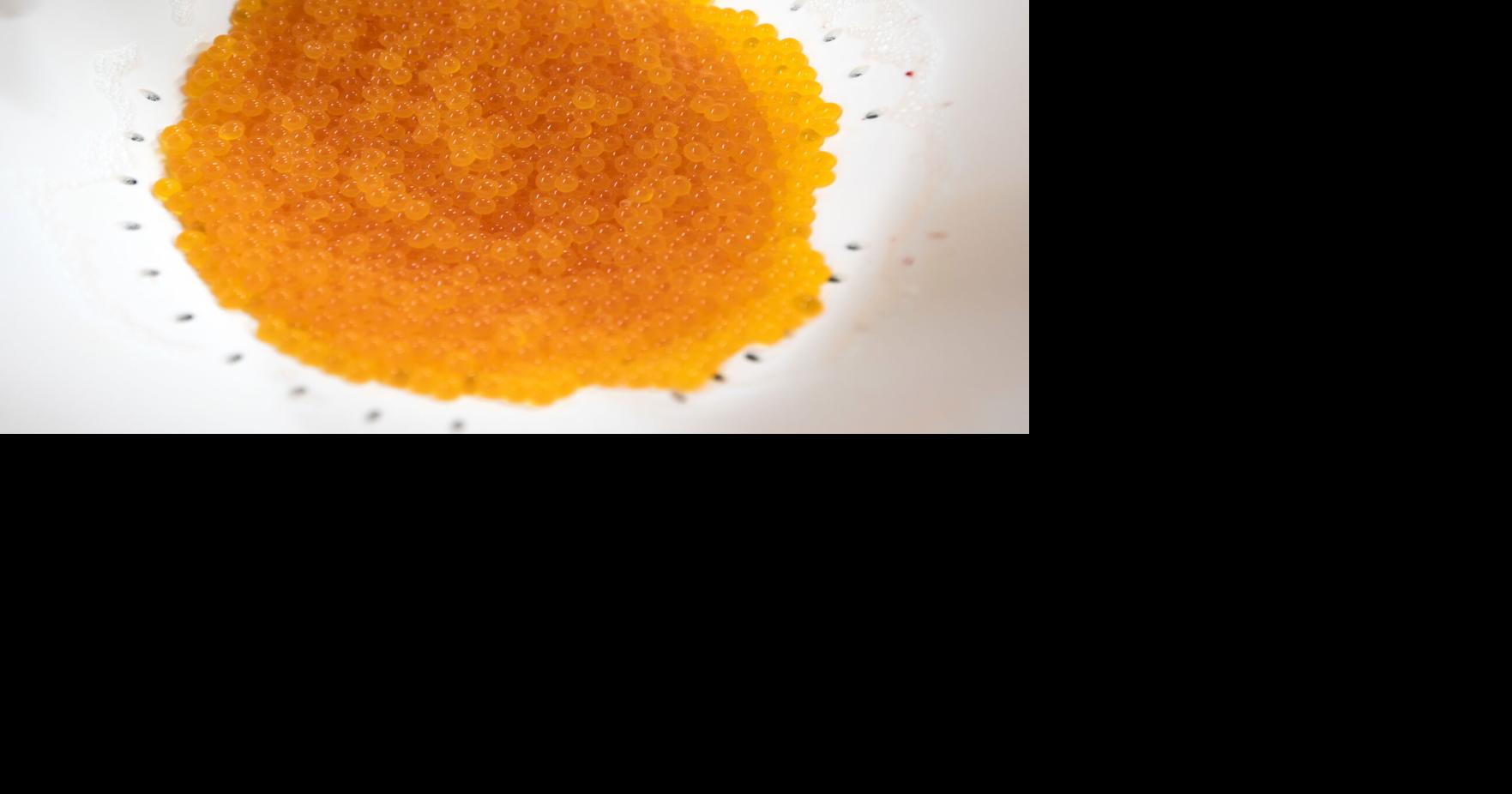 Fall, winter salmon egg-take efforts wrapping up at DNR facilities ...